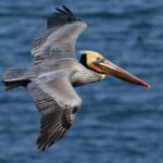 Sabana de la Mar: Los Haitises Guided Hike and Kayaking - What Travelers Are Saying