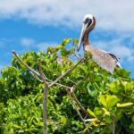 Sabana de la Mar: Los Haitises National Park Day Trip Free - Final Thoughts: Is This Tour Worth It?