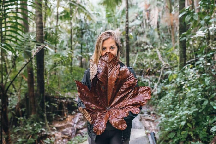 Sabana de la mar: Salto Limon, Cayo Levantado with lunch - The Itinerary: What to Expect During Your Day