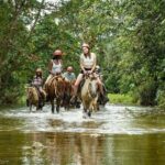 Safari Adventure - Full Day - From Punta Cana - FAQ