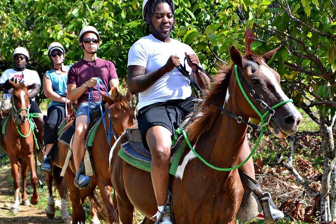 Safari Adventure in Punta Cana - Frequently Asked Questions