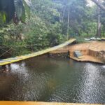 Safari Full Day VIP Experience - Detailed Review of the Safari Full Day VIP Experience