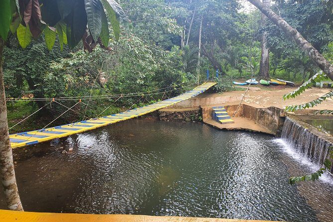 Safari Full Day VIP Experience - Detailed Review of the Safari Full Day VIP Experience