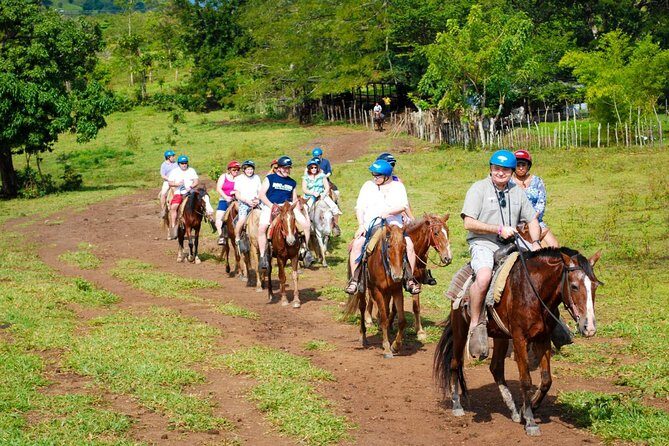 Safari Tour from Punta Cana - Itinerary Breakdown: What to Expect