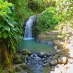 Saint George's: Grenada River Tubing & Waterfall island tour - Value and Practical Tips