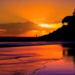 Saint Kitts & Nevis: Full-Immersion Caribbean Adventure - An In-Depth Look at the Saint Kitts & Nevis Yacht Tour