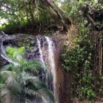 Saint Lucia: La Tille Falls Visit and Fish Foot Massage - A Closer Look at the Experience