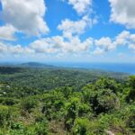 Saint Lucia: Piton Hike - The Tour Experience in Detail