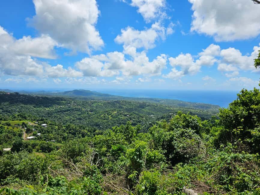 Saint Lucia: Piton Hike - The Tour Experience in Detail