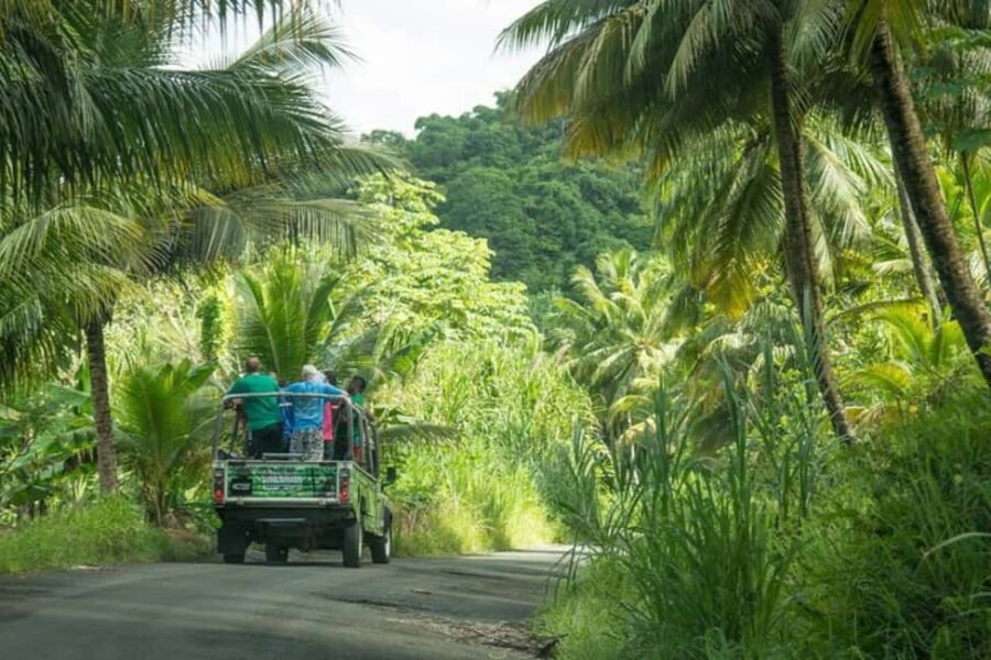 Saint Lucia: Soufriere Volcano Experience - Authentic Experiences and Practical Details