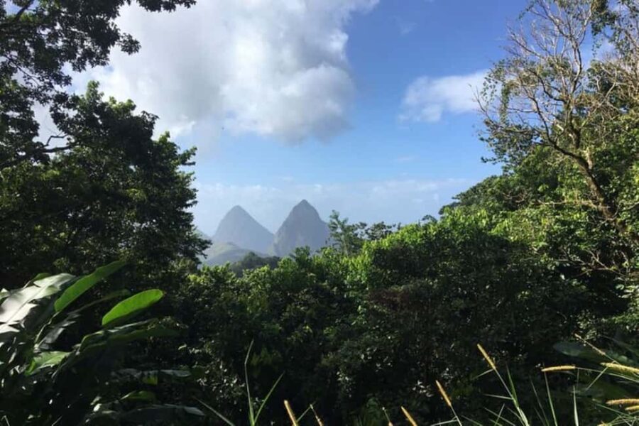 Saint Lucia: Tet Paul Nature Trail Hiking Tour & Beach - The Practical Side: Details and Tips