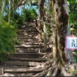 Saint Lucia: Tete Paul Nature Trail Hike & Waterfall Visit - The Practicalities: What To Expect