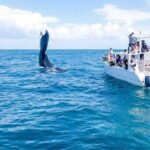 Samaná Adventure El Limón Waterfall Cayo Levantado Island Tour - What’s Included and What To Consider