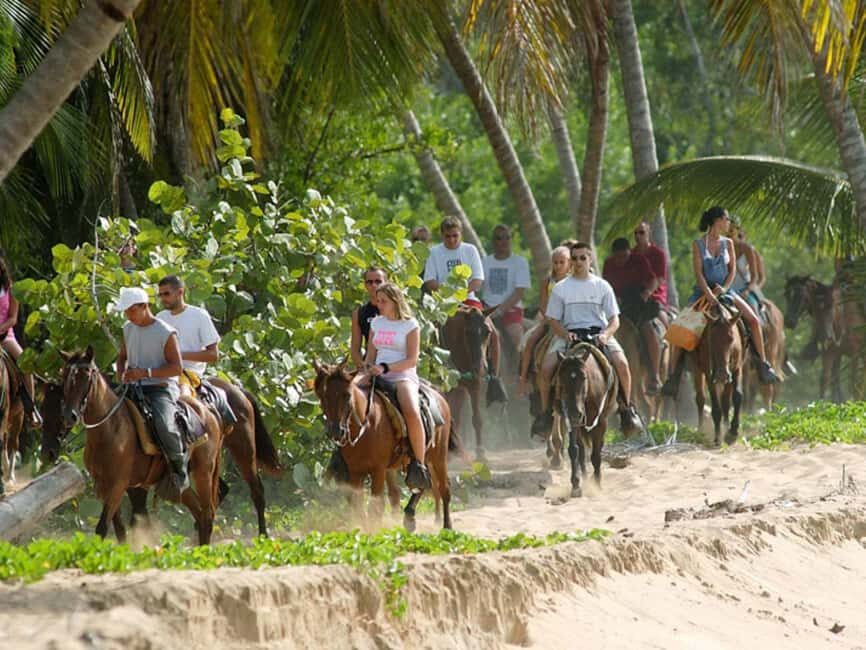 Samana, Ballenas, Cayo Levantado, Horseback Riding - What Makes This Tour Stand Out?
