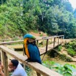 Samaná, Cayo Lemon Waterfall from Punta Cana - Final Thoughts: Is This Tour Right for You?