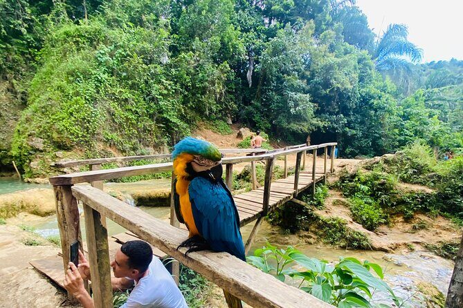 Samaná, Cayo Lemon Waterfall from Punta Cana - Final Thoughts: Is This Tour Right for You?