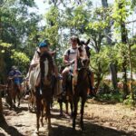 Samana City & El Limon Waterfall Small Group Full Day Shared Tour - Practical Details: What You Need to Know