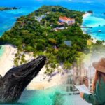 Samana: City Tour with Whale Watching & Cayo Levantado Stop - Who Will Love This Tour?