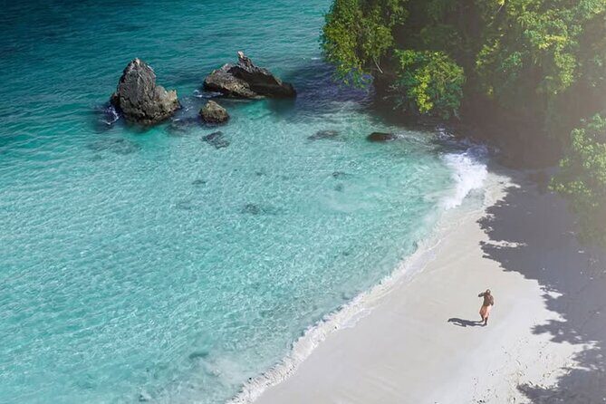 Samana Day Trip from Puntacana and El limon Waterfall - What to Expect from the Samana Day Trip