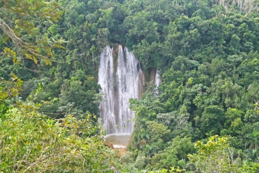 Samaná: El Limón Waterfall Horseback Riding Tour - What to Expect During the Tour