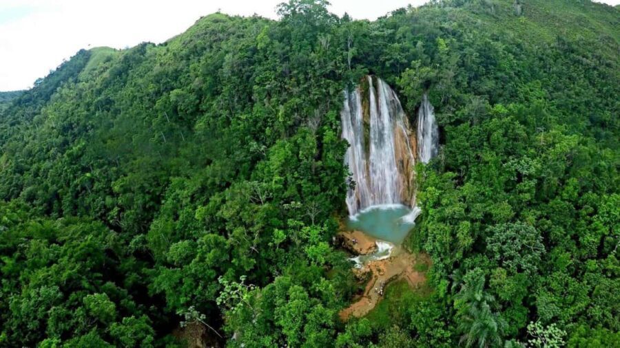 Samaná from Punta Cana: Cayo and Waterfall + Whale Watch - What Makes This Tour Stand Out?