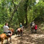 Samana full day, Risen Key, Horses, Lemon waterfall - Who Will Love This Experience?