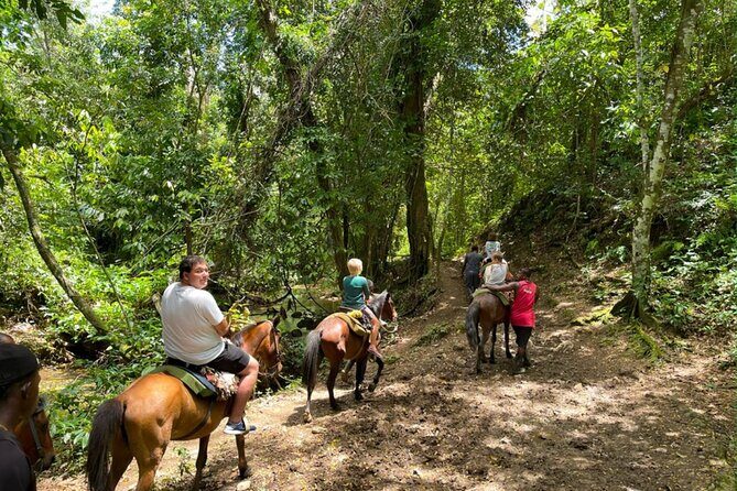 Samana full day, Risen Key, Horses, Lemon waterfall - Who Will Love This Experience?