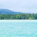 Samaná: Horseback Riding to El Limón Waterfall with Lunch - What Travelers Say