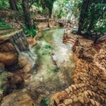 Samana: Los Haitises Kayaks & Caño Hondo Pools Tour w/ Lunch - A Closer Look at the Tour Experience