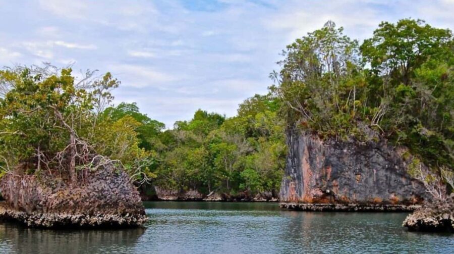 Samana: Los Haitises National Park & Caño Hondo Day Tour - The Cultural and Natural Highlights: Caves and Wildlife