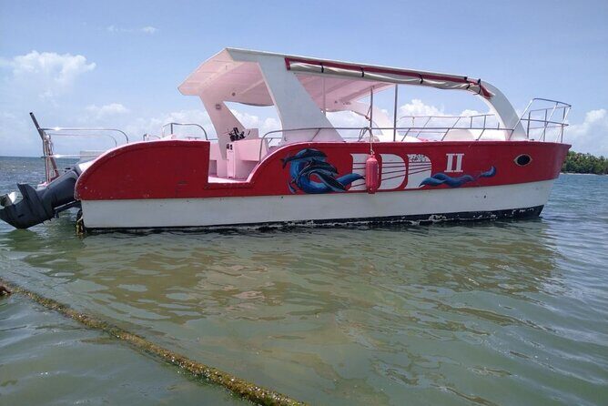 Samana Paradise Shared Tour - Authentic Traveler Perspectives