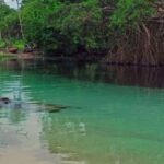Samaná: Playa Rincón Safari Tour with Lunch & Drinks - Practical Details and Tips