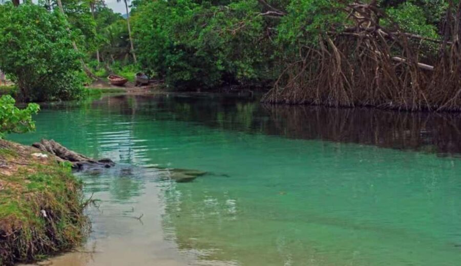 Samaná: Playa Rincón Safari Tour with Lunch & Drinks - Practical Details and Tips