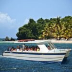 Samaná: Private Catamaran Whale Watching Tour with Drinks - Why the Experience Matters