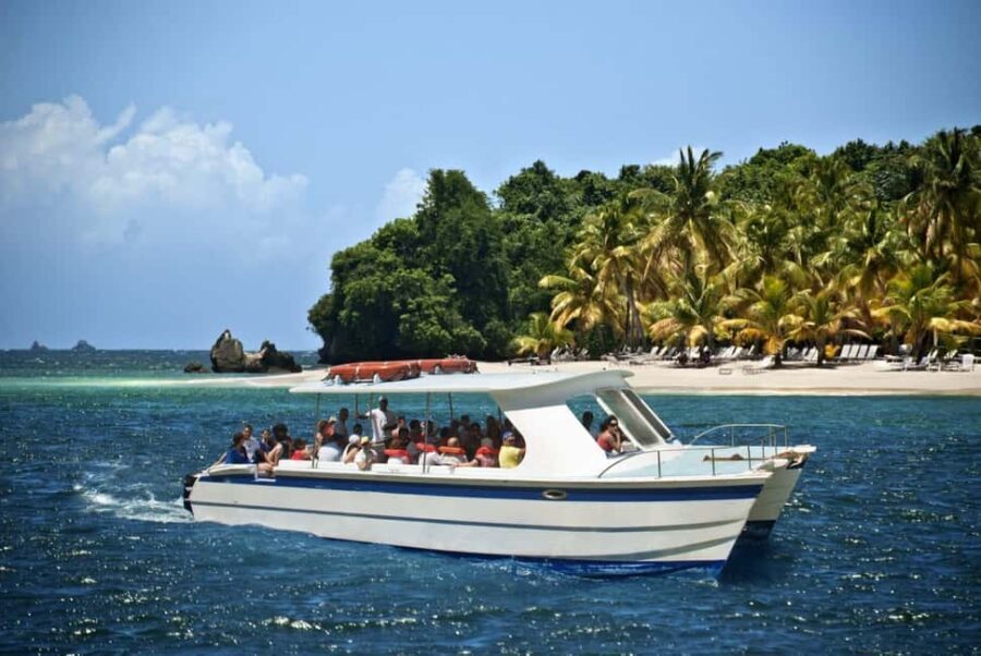 Samaná: Private Catamaran Whale Watching Tour with Drinks - Why the Experience Matters