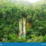 Samaná: Private Early-Morning Trek to El Limón Waterfall - The Itinerary in Detail
