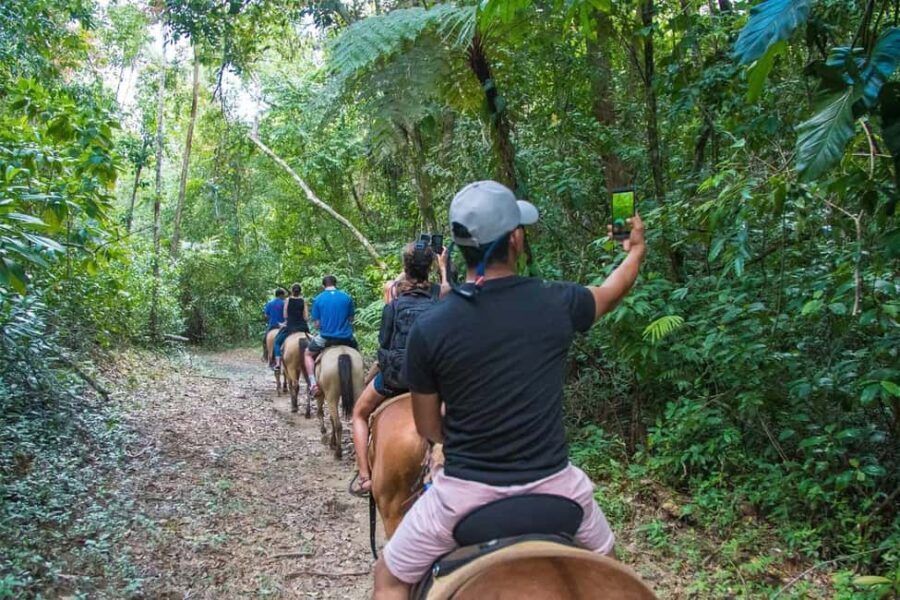 Samaná: Private Horseback Riding to El Limón Waterfall - What to Expect: A Step-by-Step Breakdown