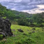 Samana: Private Los Haitises Expedition Caves & Mangroves - What Makes This Tour Special