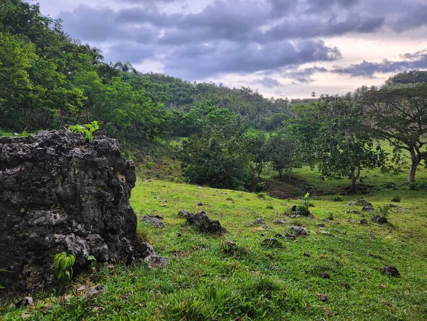 Samana: Private Los Haitises Expedition Caves & Mangroves - What Makes This Tour Special