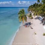 Samana: Saona Island Full-Day Tour with Catamaran Ride - Cost, Value, and Booking Flexibility