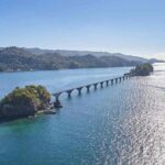 Samaná Whale Tour with Lunch from Santo Domingo - An In-Depth Look at the Tour Experience