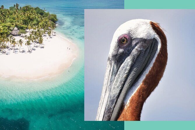 Samana Whale Watching + Cayo Levantado ( Bacardi Island) with Lunch by Locals - Why Choose This Tour?