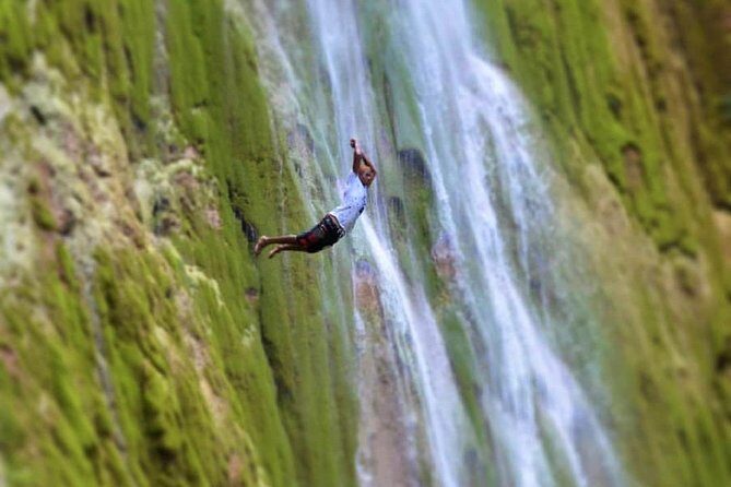 Samana Whale Watching + Cayo Levantado + Limon Waterfalls from Punta Cana Hotels - What Travelers Can Expect