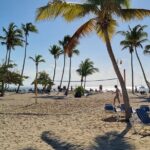 Samana Whales Watching Full Day Tour with Cayo Levantado and more - What Travelers Say (Based on Reviews)