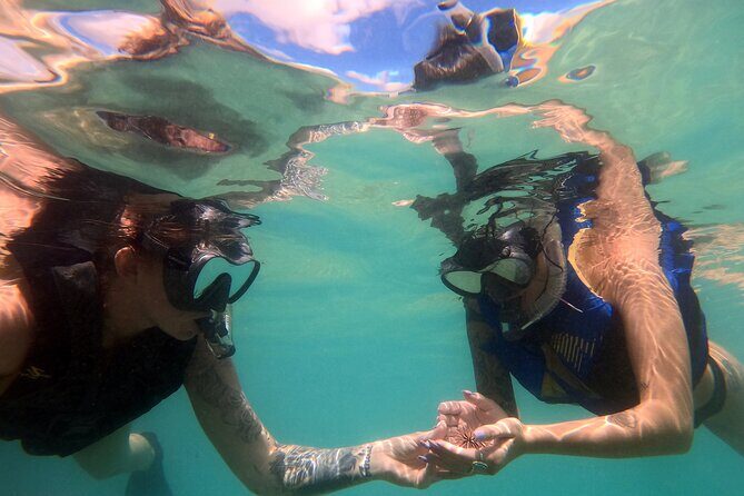 San Juan Guided Snorkel With Turtles Tour and Videos - The Itinerary Breakdown
