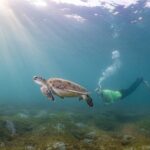 San Juan Snorkeling Tour with Fish and Turtles - The Itinerary: What to Expect