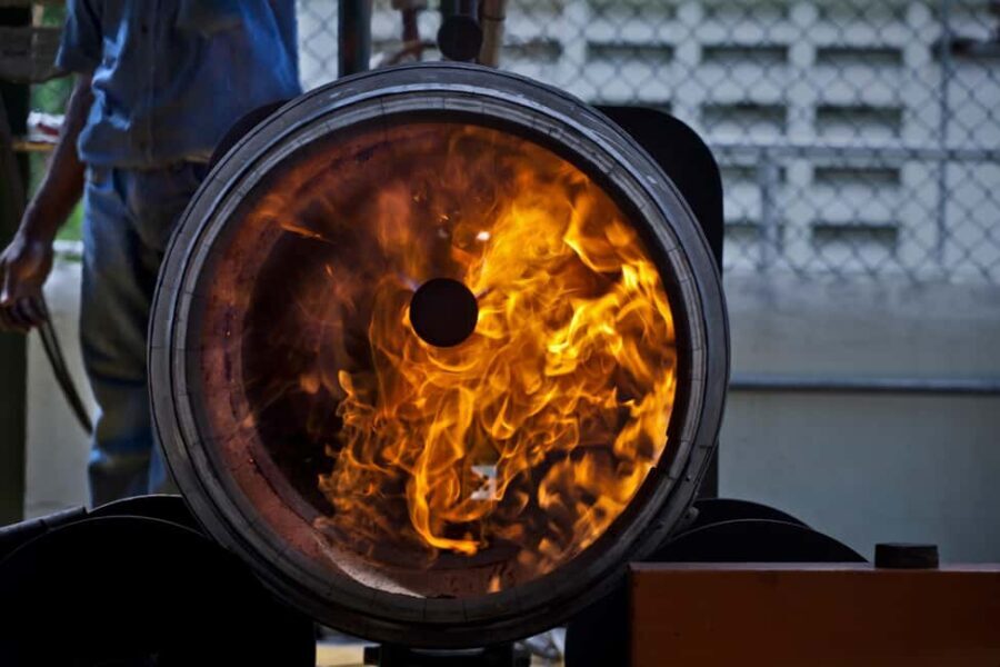 San Pedro De Macoris: Ron Barcerló Rum Factory Tour - What Travelers Are Saying