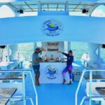 Sand-Bar Punta Cana Party Boat unlimited drinks, snorkeling Vibes - Key Points