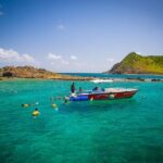 Sand Dollar Half Day Snorkel Trip - What the Reviews Say