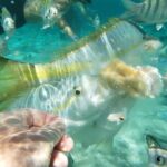 Sand Key and Bonita Island Tour  Paradise from Puerto Plata - The Value of This Tour